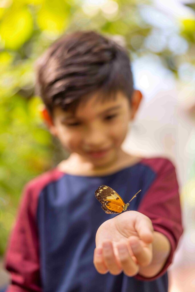 $8 Admissions Offer to Bexar County on National Bird Day