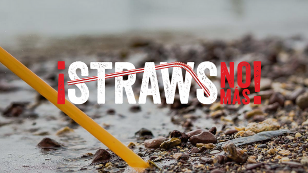 Other Projects | San Antonio Zoo