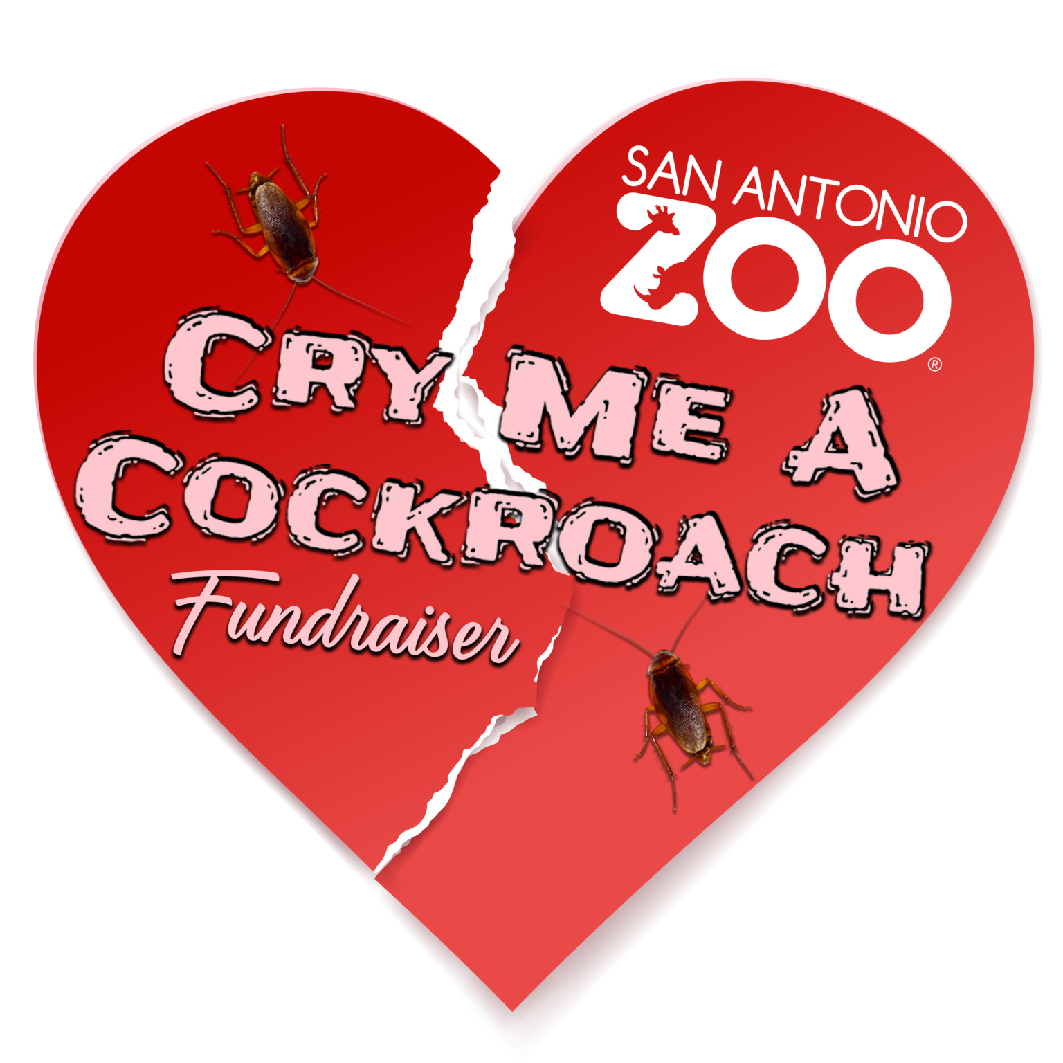 Cry me a Cockroach | San Antonio Zoo